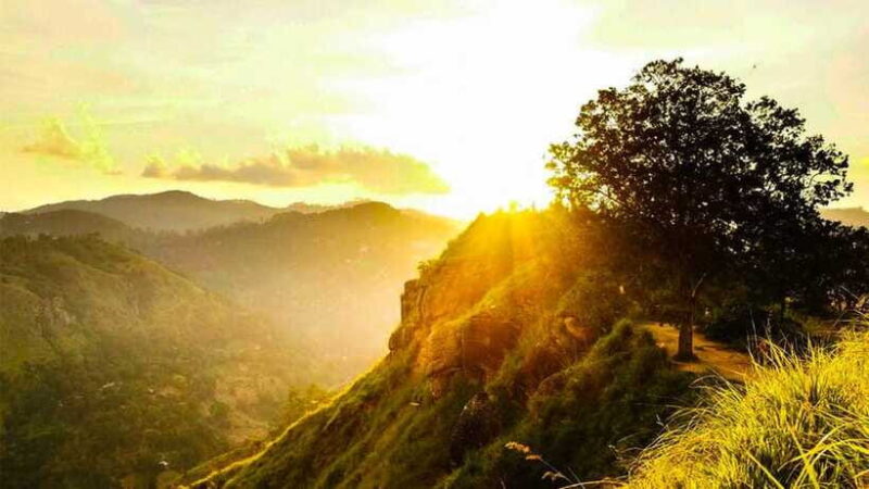 Ella: Sunset Tuk Tuk Tour with Little Adam's Peak Hike - Practical Tips for Participants