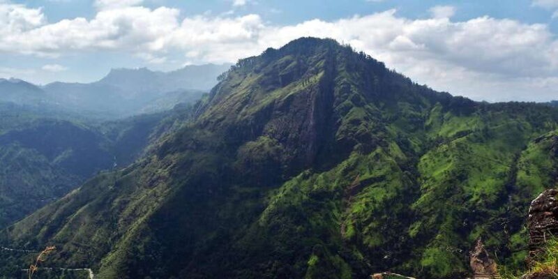 Ella: Tea Factory, Train, and Nine Arch Day Tour with Pickup - Authentic Travel Experience and Value