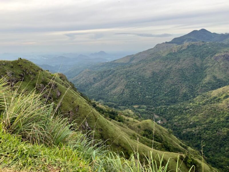 Ella: Tea Factory, Train, and Nine Arch Day Tour with Pickup - Final Words