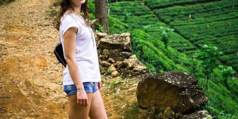 Ella: Tea Factory, Train, and Nine Arch Day Tour with Pickup - FAQ