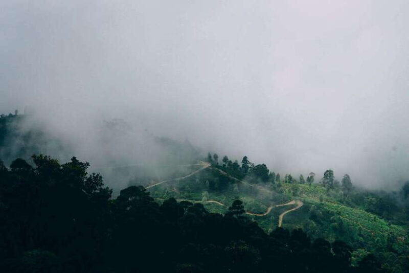 Ella: The Pekoe Trail Stage 16 - Ella to Demodara - Ella: The Pekoe Trail Stage 16 - Ella to Demodara