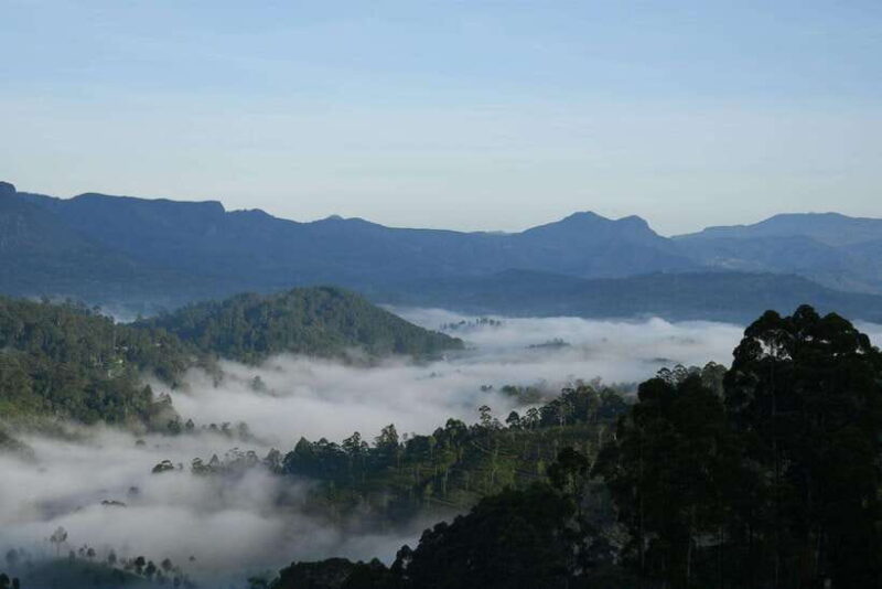 Ella: The Pekoe Trail Stage 16 - Ella to Demodara - Who Will Enjoy This Tour?