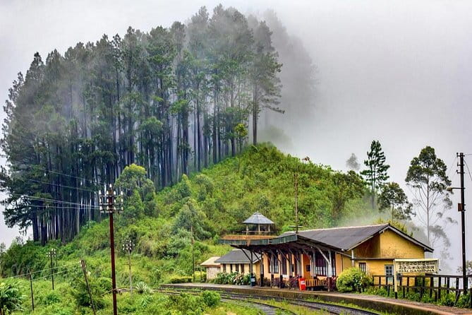 Ella to Colombo Train Tickets (Reserved Seats) - Who Should Consider This Tour?