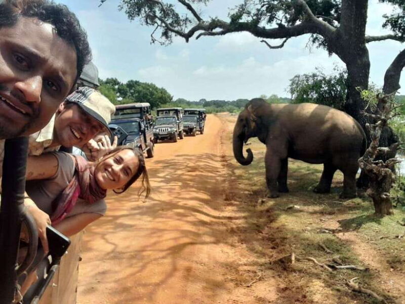 Ella: to Ella after #Yala National Park safari tour - Practical Tips for Making the Most of Your Safari