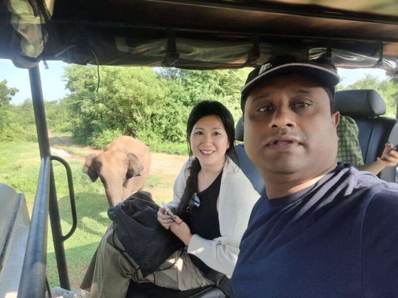 Ella: to Ella after #Yala National Park safari tour - FAQ