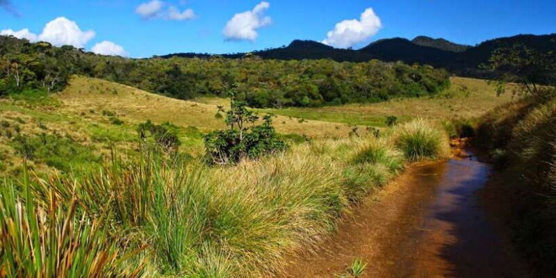 Ella to Horton Plains with Bakers Falls & Train Delights - FAQ