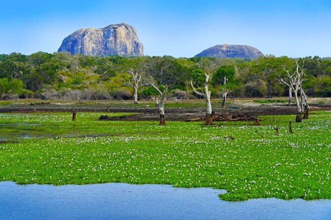 Ella To Yala National Park Private Transport - The Booking Experience and Flexibility