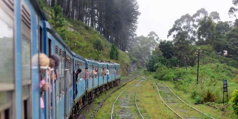 Ella Train Experience with Dip & Dine at Ravana Pool Club - Pool Time and Relaxation: The Perfect Wind-Down