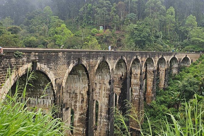 Ella Train Trip & Udawalawa Private Day Tour Bentota/Kosgoda - The Itinerary in Detail