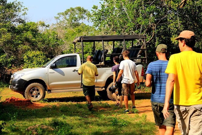 Ella: Transfer to Tangalle/Mirissa/Galle & Yala/Udawalawe Safari - Introduction: What’s on Offer