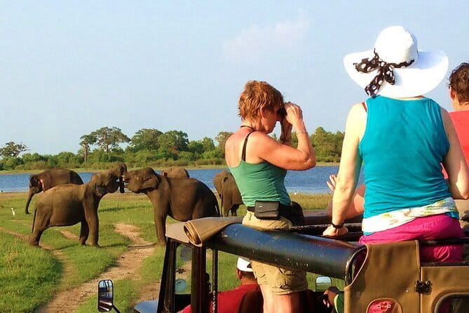 Ella: Transfer to Tangalle/Mirissa/Galle & Yala/Udawalawe Safari - Value and Cost Analysis