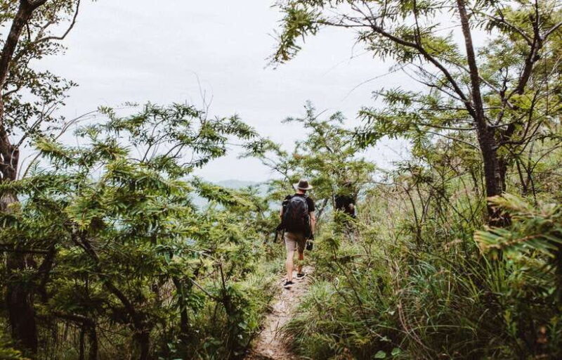 Ella: Tuk Tuk Tour to Diyaluma and Secret Waterfalls - Key Points