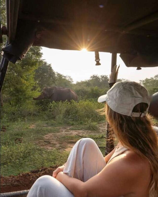 Ella: Udawalawa Safari Drop: Tangalle / Mirissa / Galle - Authentic Experiences and Authentic Value