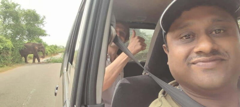 Ella: Udawalawe safari w local guide tush, Drop at Mirissa - Key Points