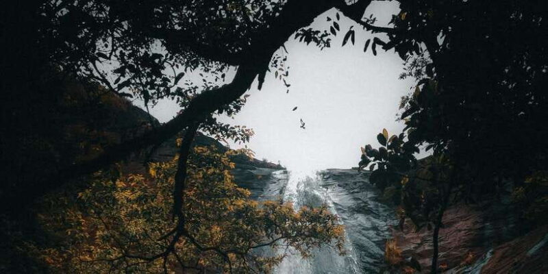 Ella: Waterfall Hike with Bambarakanda and Lanka Falls - Final Thoughts: Who Will Love This Tour?