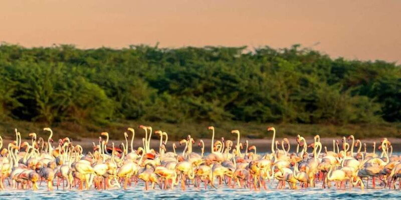 Ella : Yala Safari Drop off : Tangalle/ Hiriketiya/ Mirissa - Final Thoughts