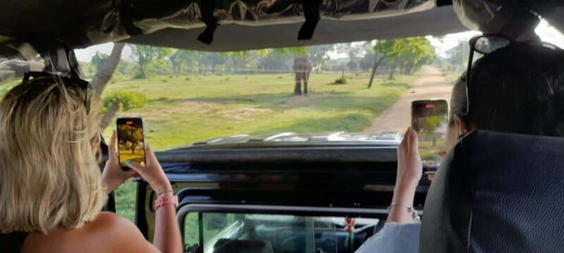 Ella: Yala safari w local guide tush & drop off at Mirissa - The Sum Up: Is This Tour for You?