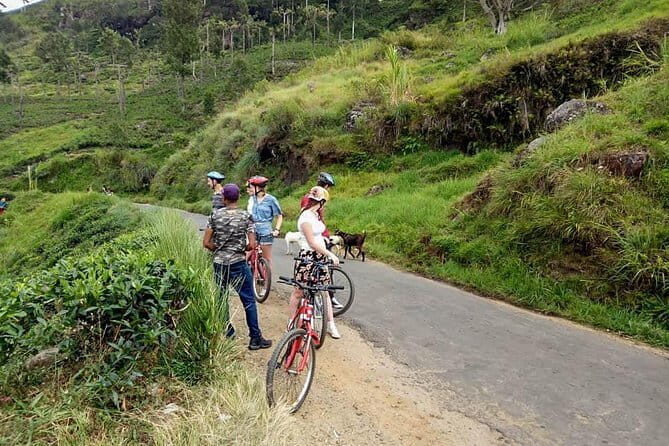 Ellawala Waterfall Cycling Tour from Ella - An In-Depth Look at the Ellawala Waterfall Cycling Tour