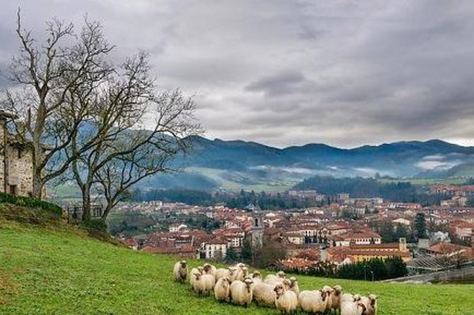 Elorrio, Oñati and Arantzazu Sanctuary - What’s Included and What’s Not