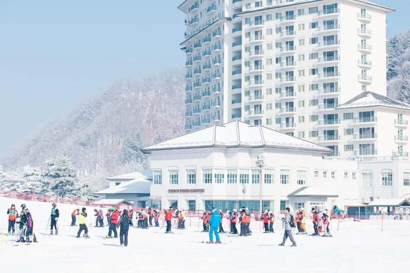 Elysian Ski Day Tour (Ski & Snow Board Full Package) - The Sum Up