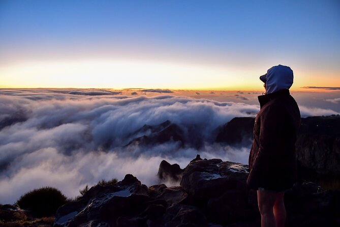 Set out on a Luxurious Private Journey: Unveiling the Madeira Best - The Value of Personal Guidance and Comfort