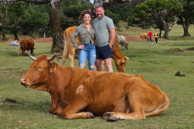 Set out on a Luxurious Private Journey: Unveiling the Madeira Best - FAQs