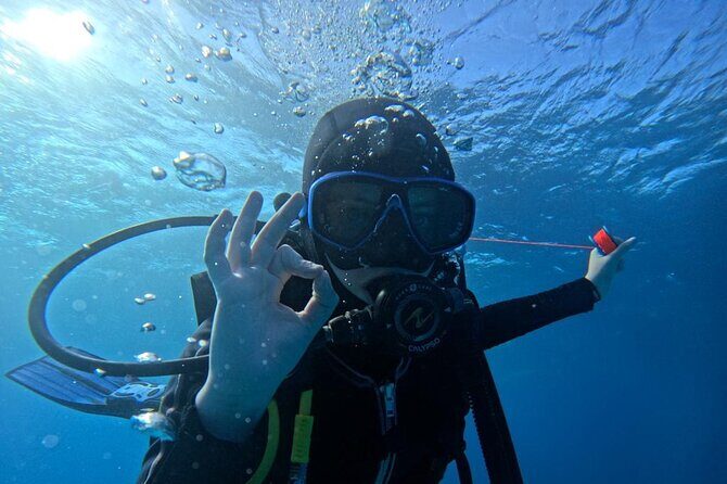 Set out on a Professional and Passionate Scuba Diving Adventure!" - Authentic, Guided Underwater Encounter