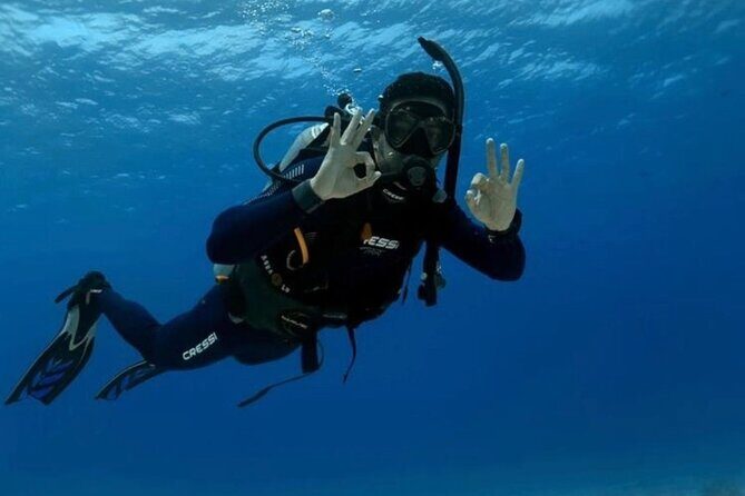 Set out on a Professional and Passionate Scuba Diving Adventure!" - Final Thoughts