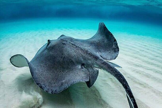 Set out on a Professional and Passionate Scuba Diving Adventure!" - Frequently Asked Questions