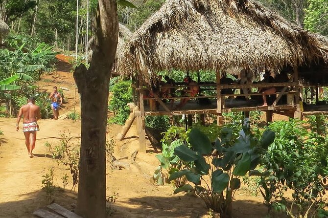 Embera Village Waterfalls and Alajuela Lake With Lunch Included - Traveler Feedback and Recommendations