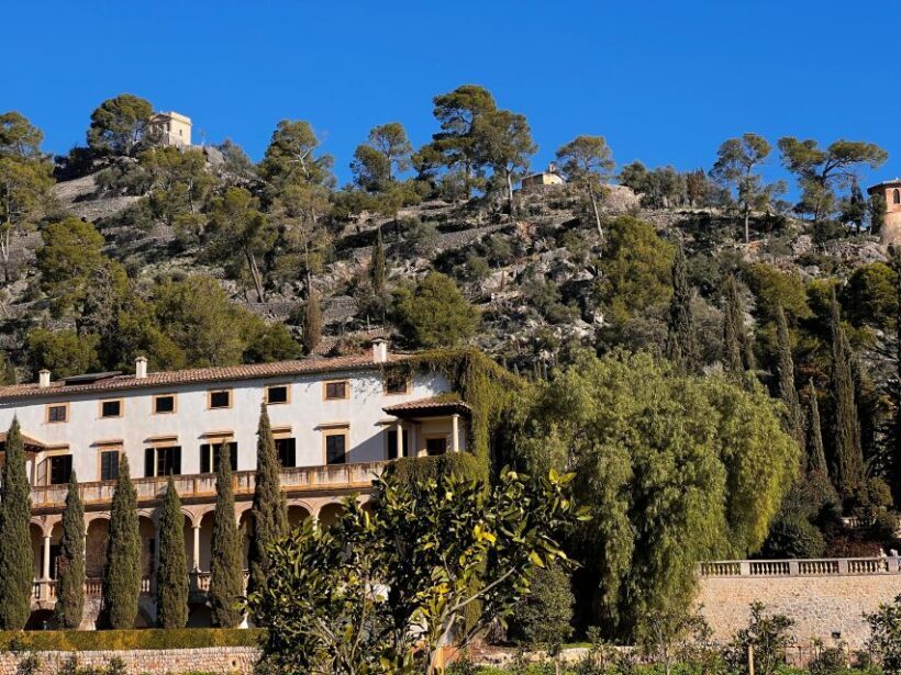 Embrace the enchantment of Mallorca's almond blossom season - Embrace the enchantment of Mallorca’s almond blossom season
