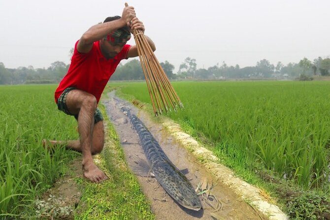 Embrace the Farmer's Way: Dive into the Paddy Farming Adventure - Why This Tour Offers Real Value