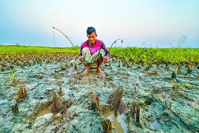 Embrace the Farmer's Way: Dive into the Paddy Farming Adventure - FAQ