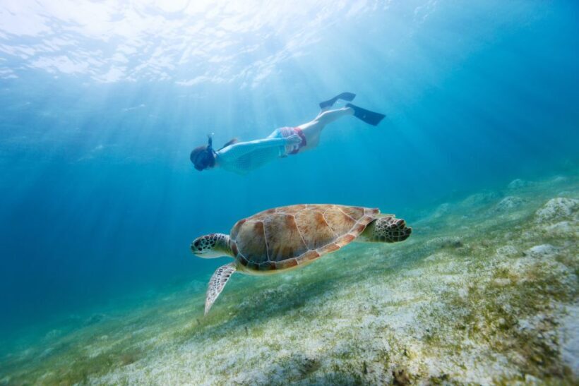 Emerald Coast: Afternoon Snorkel & Dolphin Tour - Exploring the Experience