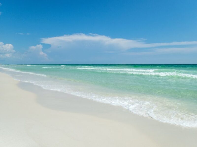 Emerald Coast: Afternoon Snorkel & Dolphin Tour - Wildlife and Scenic Highlights