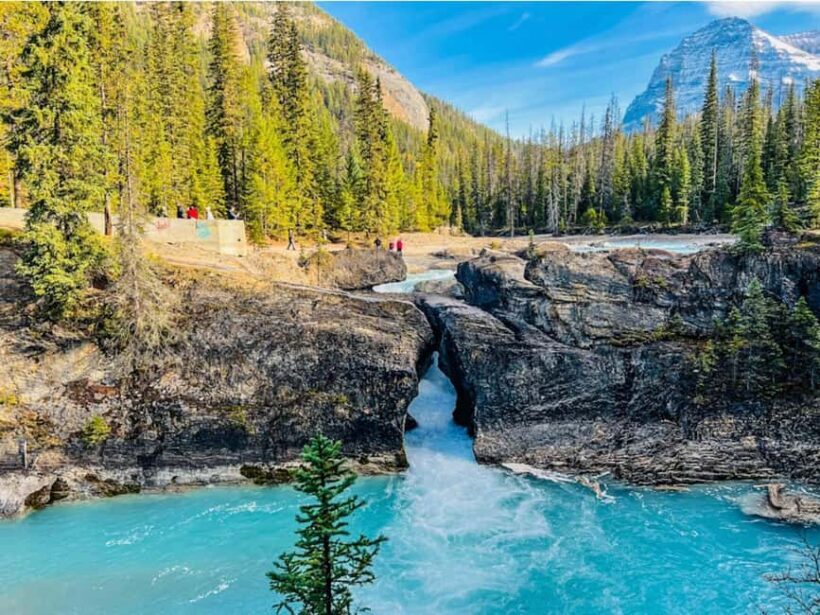 Emerald Lake, Wapta Falls & Takakkaw Falls in Yoho - An In-Depth Look at the Tour