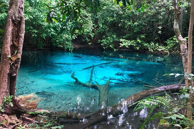 Emerald Pool: Jungle Tour, Private Full Day with Lunch - Transport and Timing
