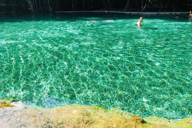 Emerald Pool: Jungle Tour, Private Full Day with Lunch - What Travelers Say