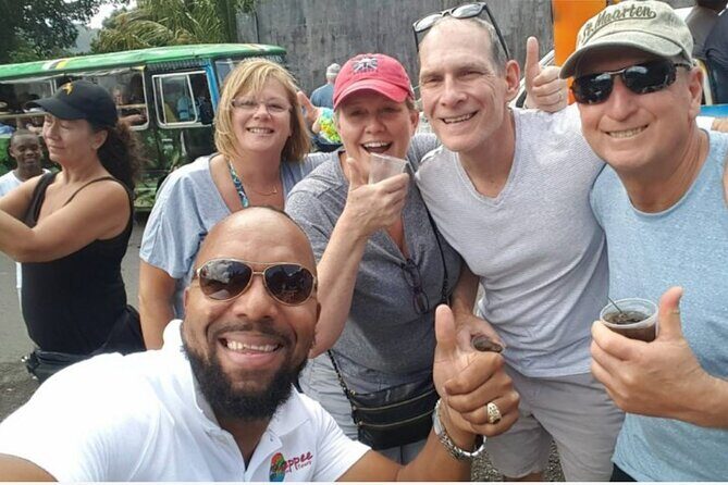 Emerald Pool Trafalgar Falls Mega Fun Tour - Key Points