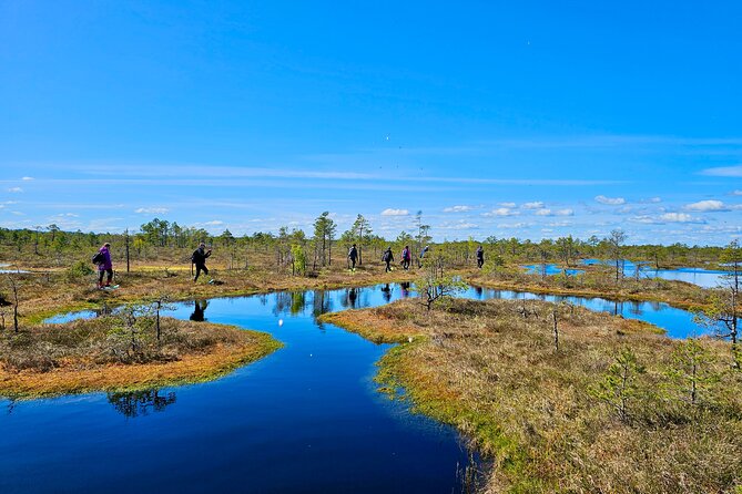 emeri Bogs Adventure: Explore Wetlands In Bog Shoes - Who Will Love This Tour?