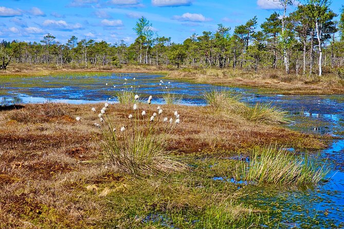 emeri Bogs Adventure: Explore Wetlands In Bog Shoes - FAQ