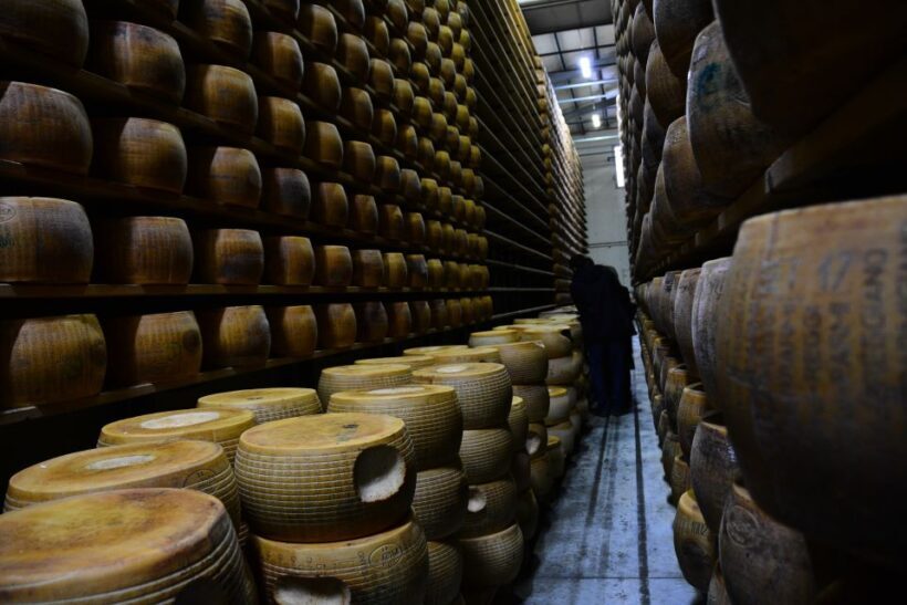 Emila-Romagna: Parmigiano, Prosciutto, Wine and Balsamic. - An In-Depth Look at the Tour Experience