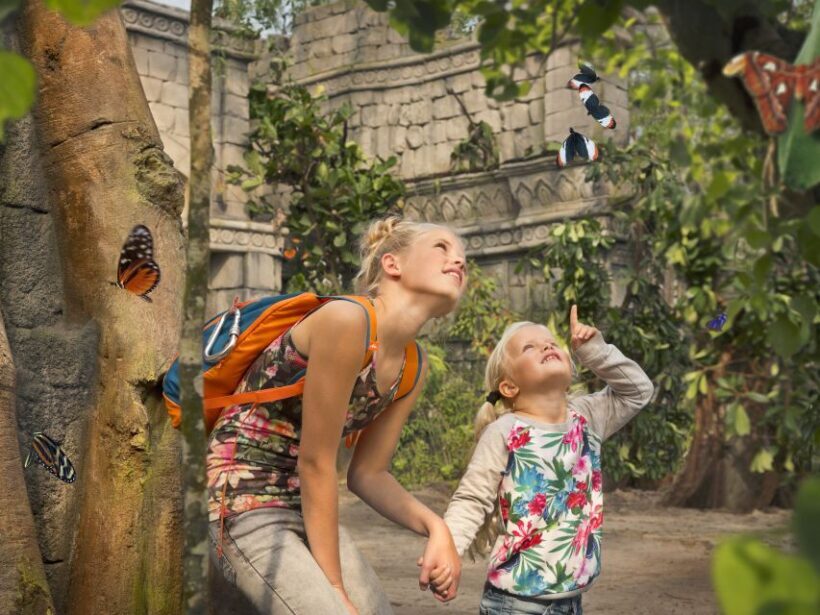 Emmen: Wildlands Adventure Zoo and Rimbula River Boat Ride - FAQ