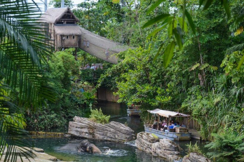 Emmen: Wildlands Adventure Zoo and Rimbula River Boat Ride - Final Thoughts
