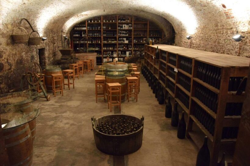 Emotional Wine Tasting in a Castle Just Steps from Verona - An Inside Look at the Experience