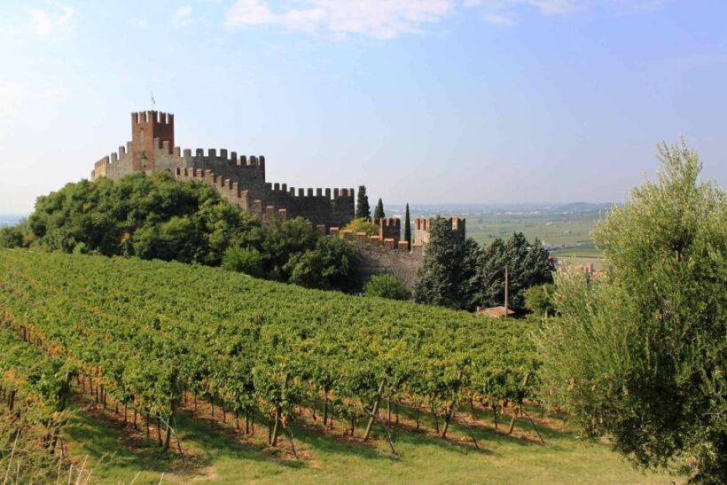 Emotional Wine Tasting in a Castle Just Steps from Verona - The Experience’s Strengths and Weaknesses
