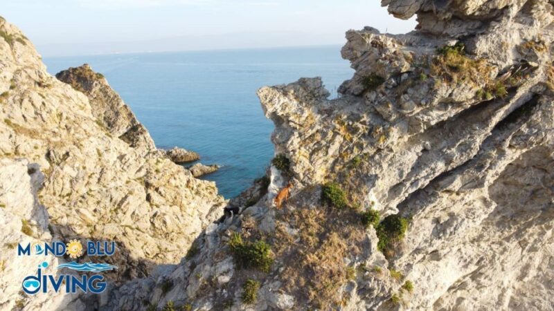 Emozionante tour della costa con drink incluso - FAQ