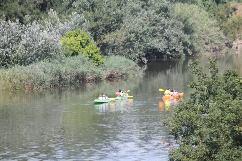 Empuriabrava: kayak trip - Who will love this tour?
