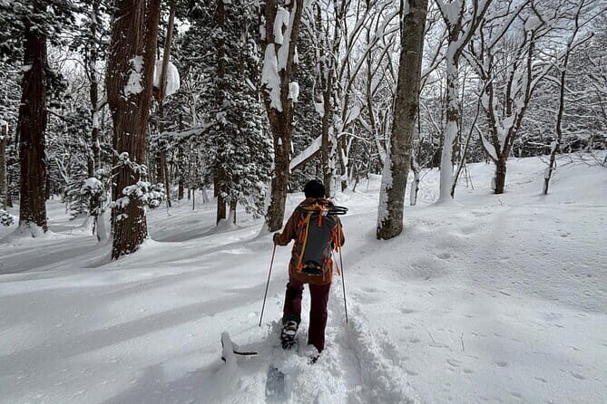 EN/CN Guided Snowshoeing and Snow Monkey Tour in Nagano - The Sum Up