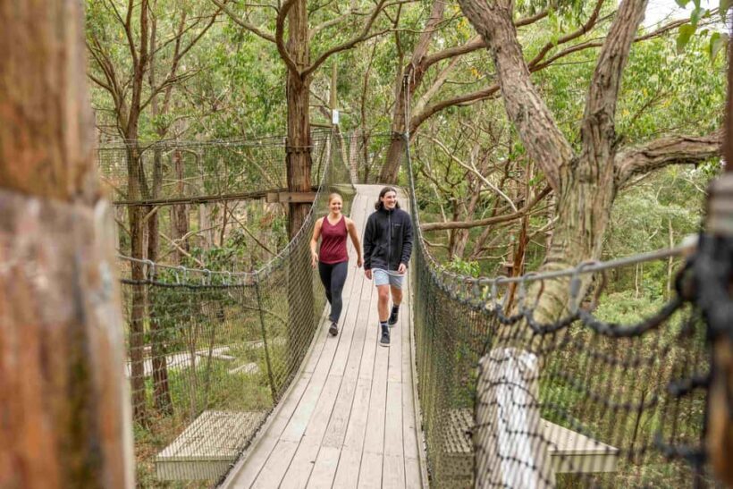 Enchanted Adventure Admission with Lunch - Who Will Love This Tour?